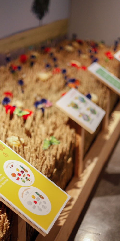 LU Harmony | Brands In Motion